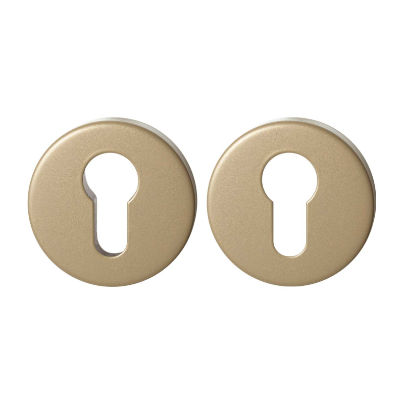 GPF9391.A4 Champagne blend square security rose set - Ten Hulscher bv